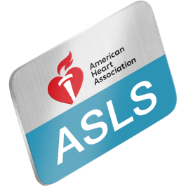 ASLS Lapel Pin (10 Pack)