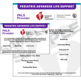 2025 PALS Provider eCard